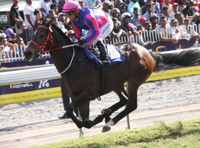 ÉCURIE ROUSSET : Albert Mooney back to winning ways | Le Mauricien
