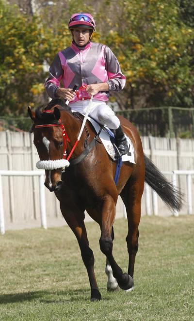 THE NOBLE SALUTE °V RADIO ONE 15TH ANNIVERSARY CUP : Gilbert Rousset en ...